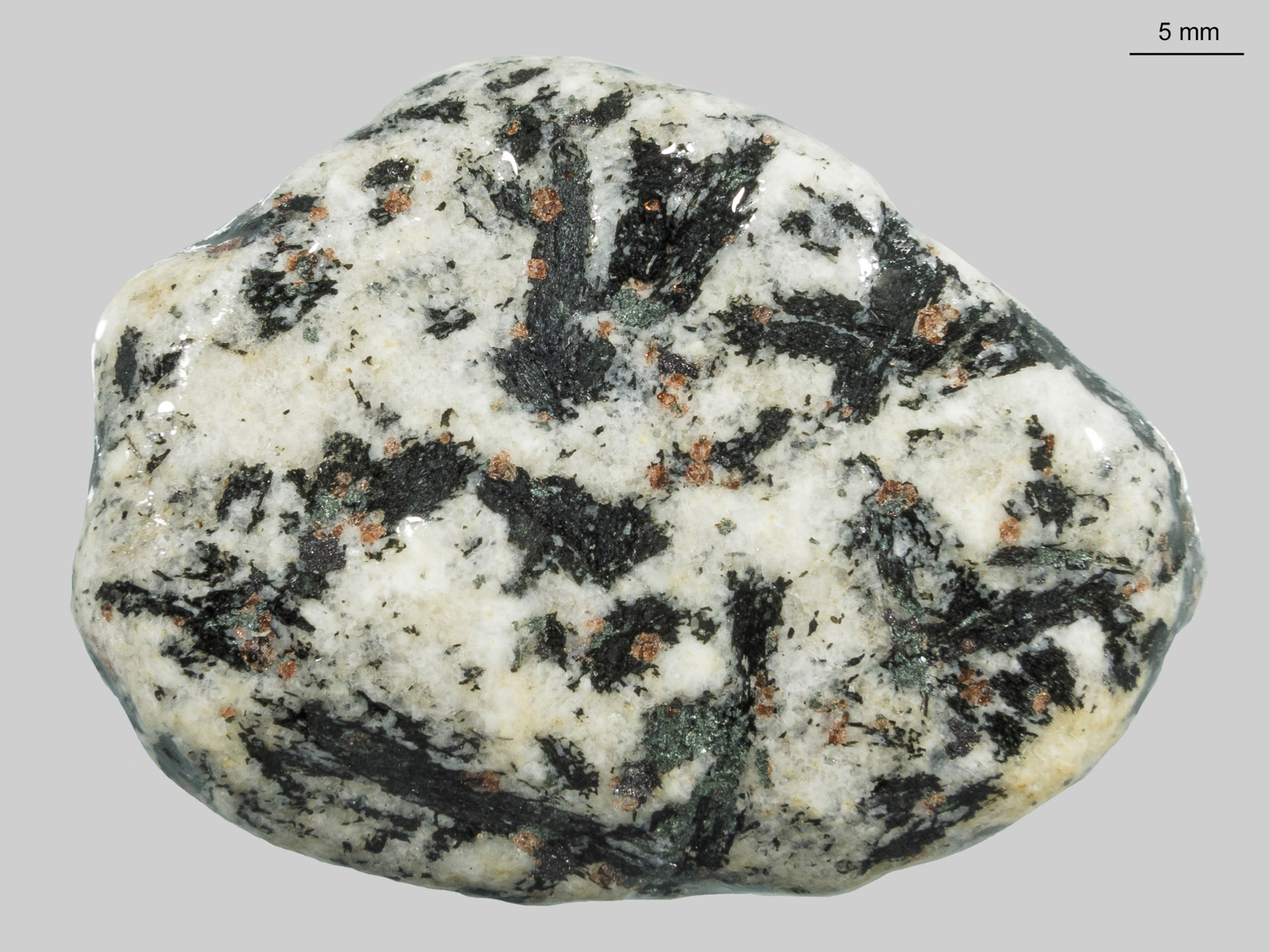 amphibol-porphyroblastischer Gneis | Geologische Streifzüge