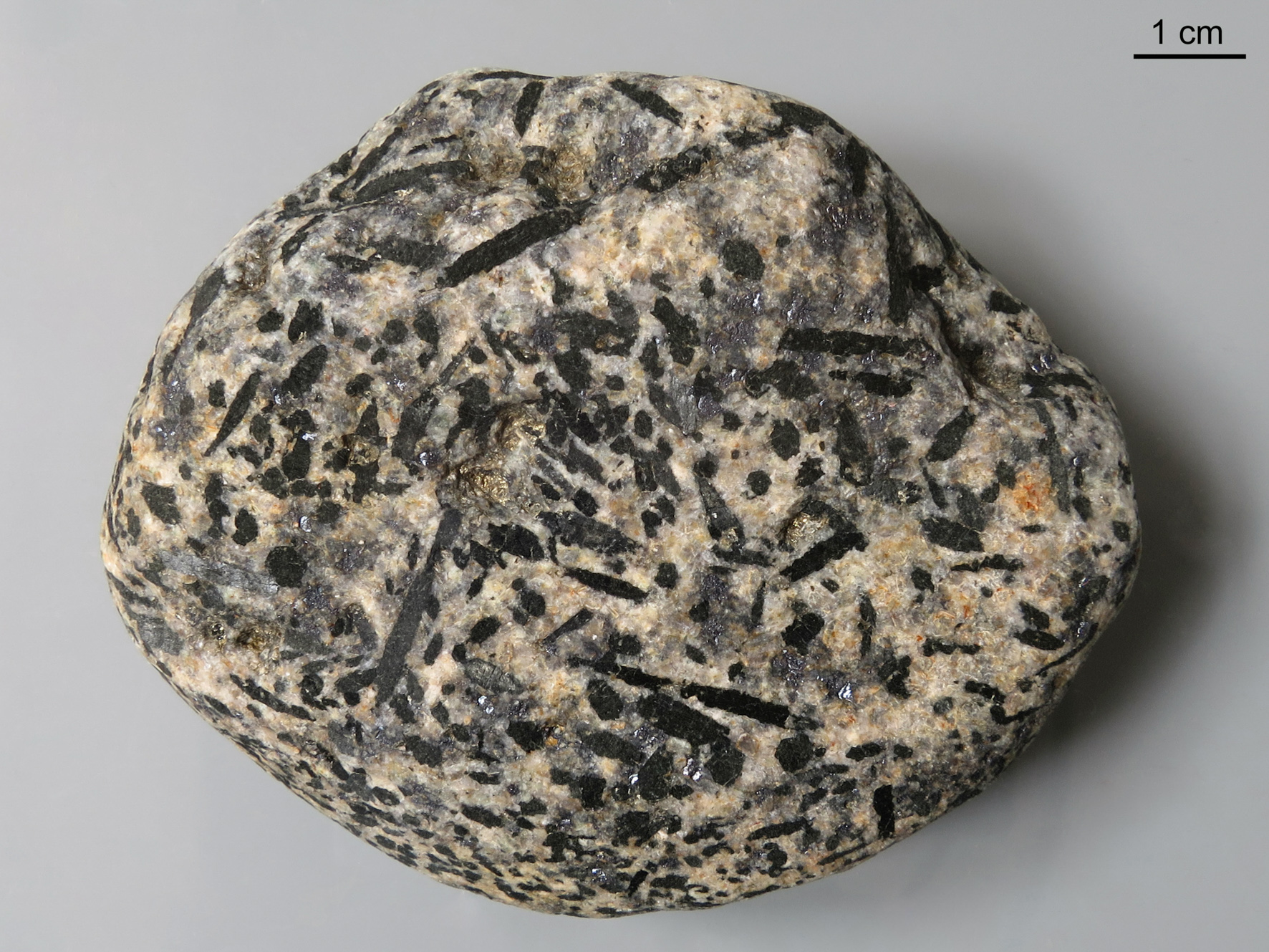 Amphibol-porphyroblastische Gneise | Geologische Streifzüge