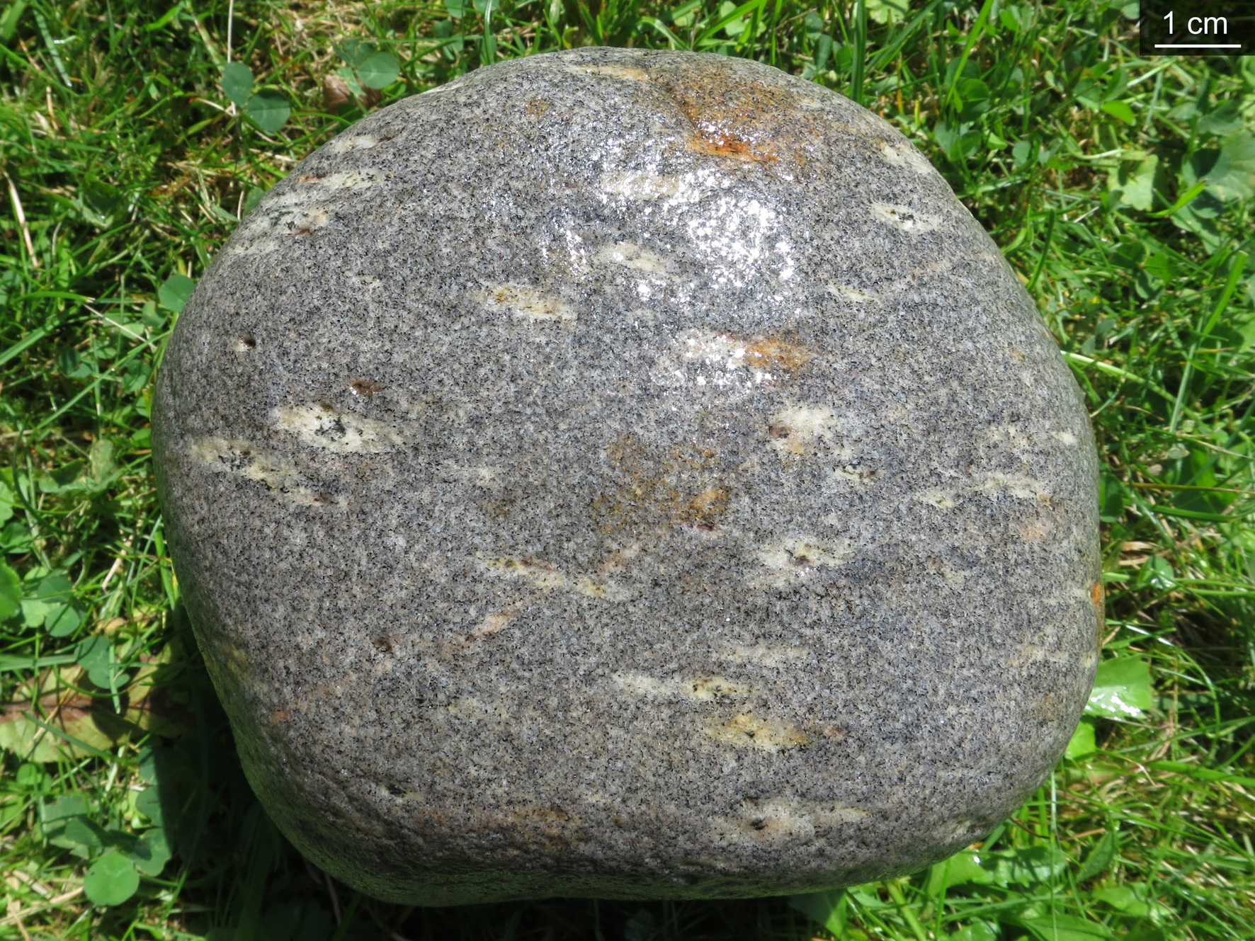 spotted granite | Geologische Streifzüge