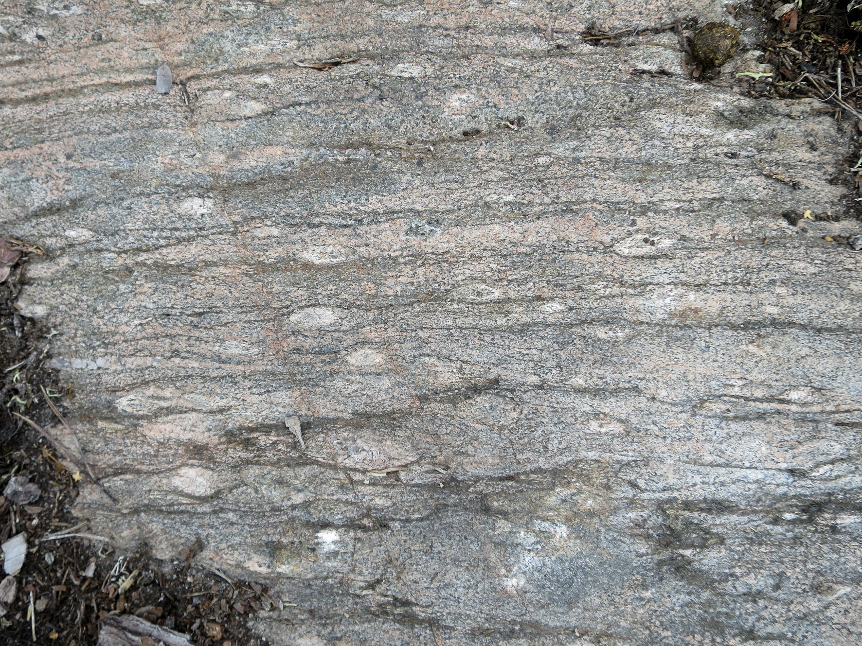 Granofels | Geologische Streifzüge