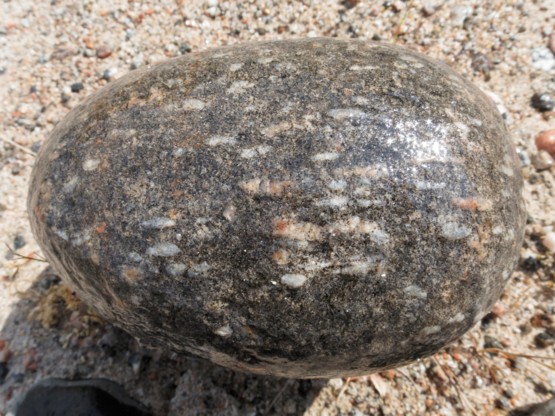 spotted granite | Geologische Streifzüge