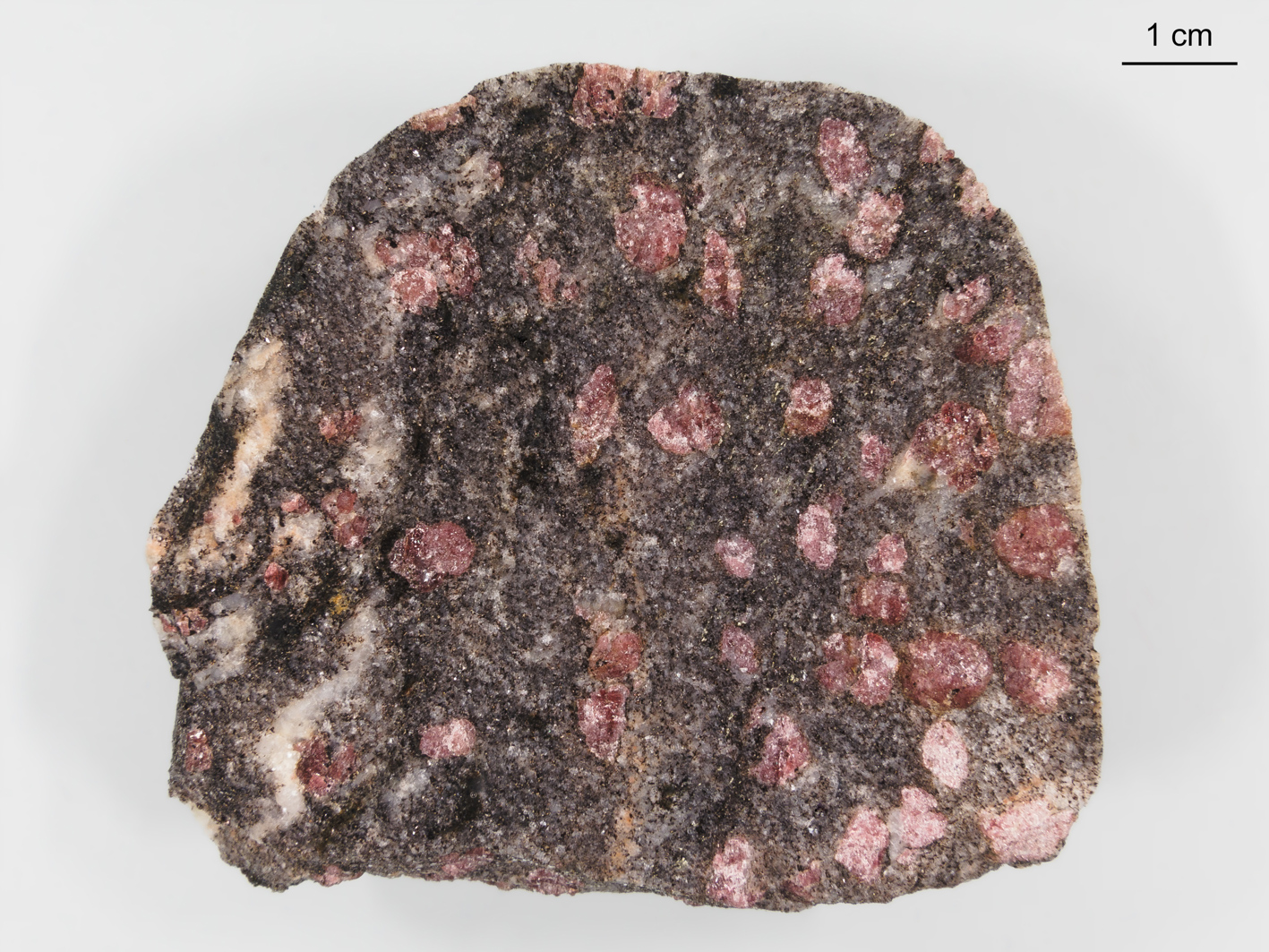 Granat-Cordierit-Gneis | Geologische Streifzüge