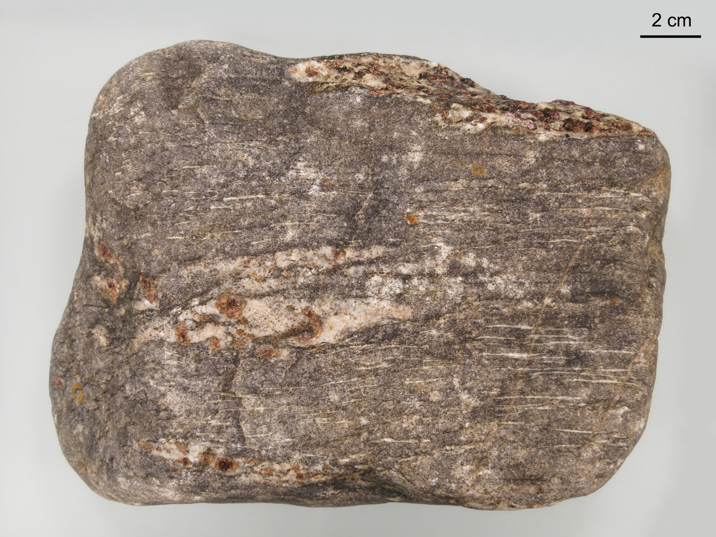 Granat-Cordierit-Gneis | Geologische Streifzüge