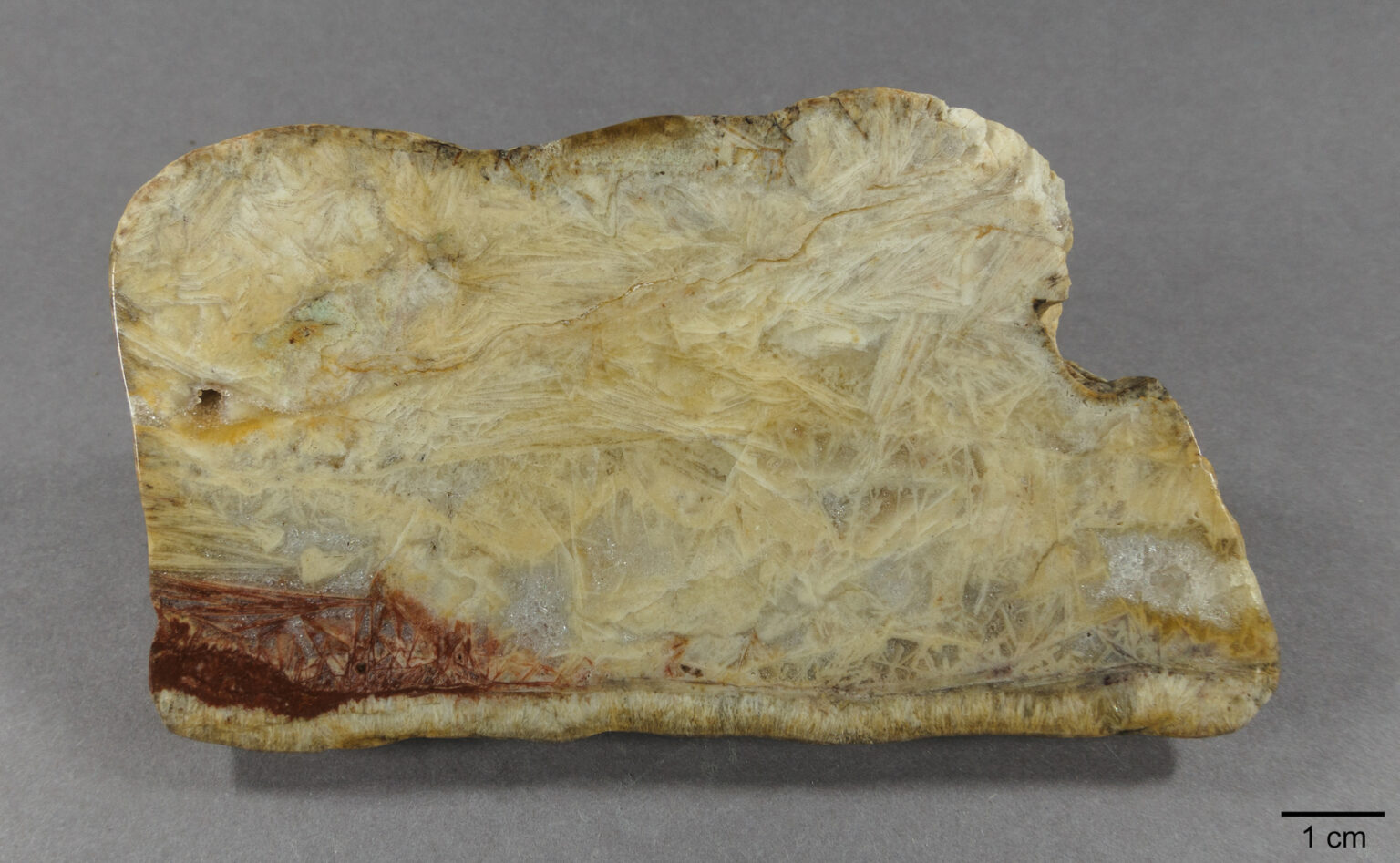 Tephrit | Geologische Streifzüge