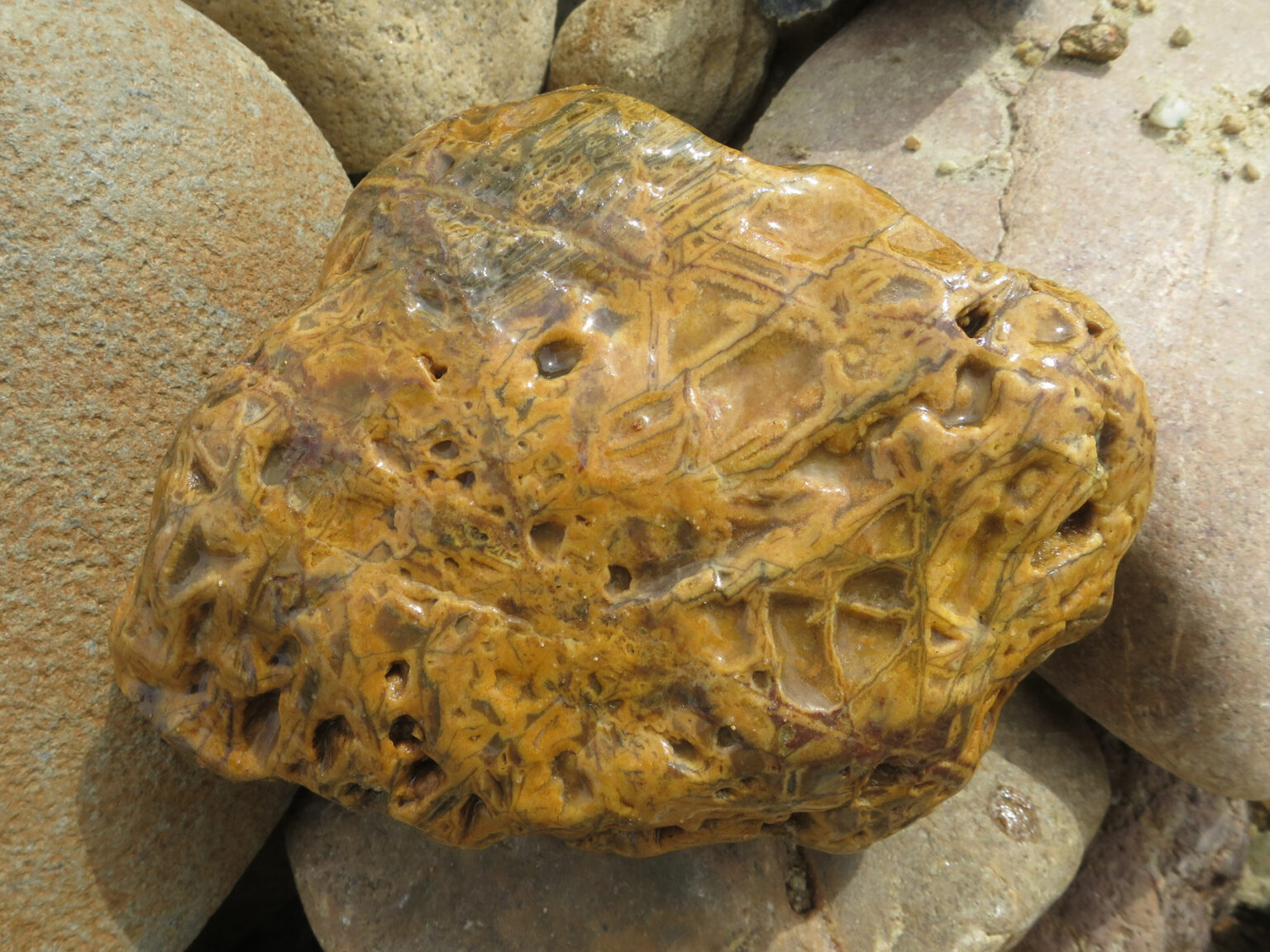 Tephrit | Geologische Streifzüge