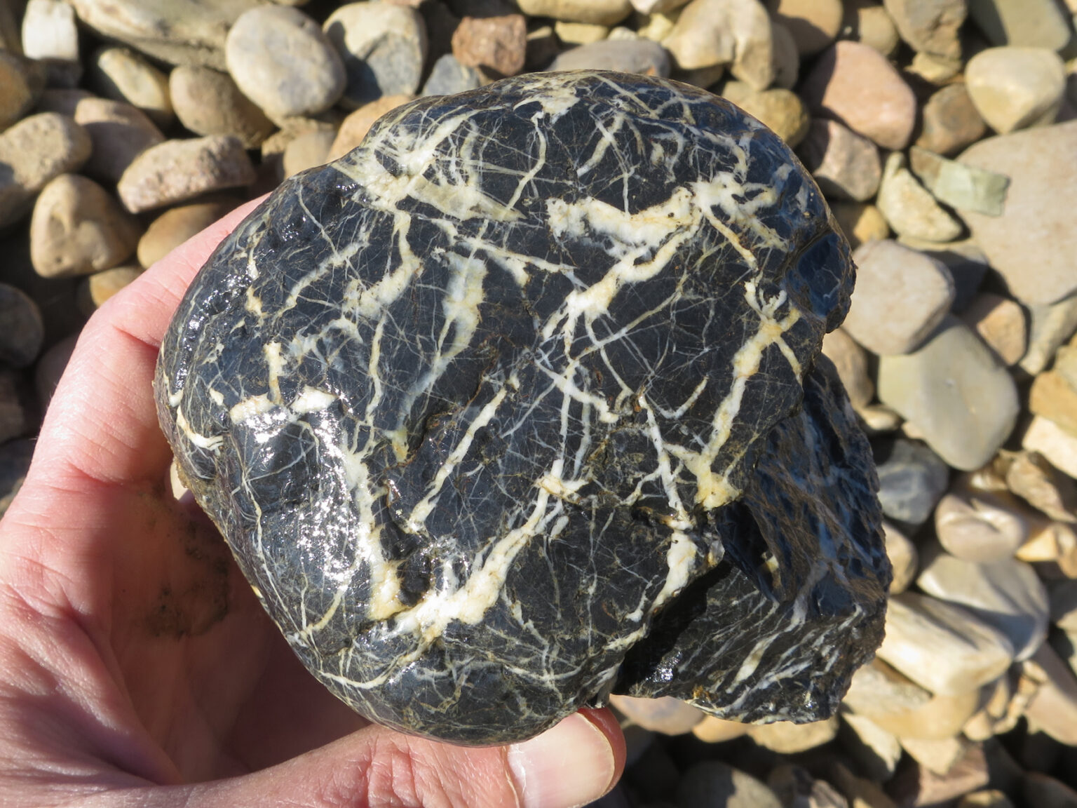 Tephrit | Geologische Streifzüge