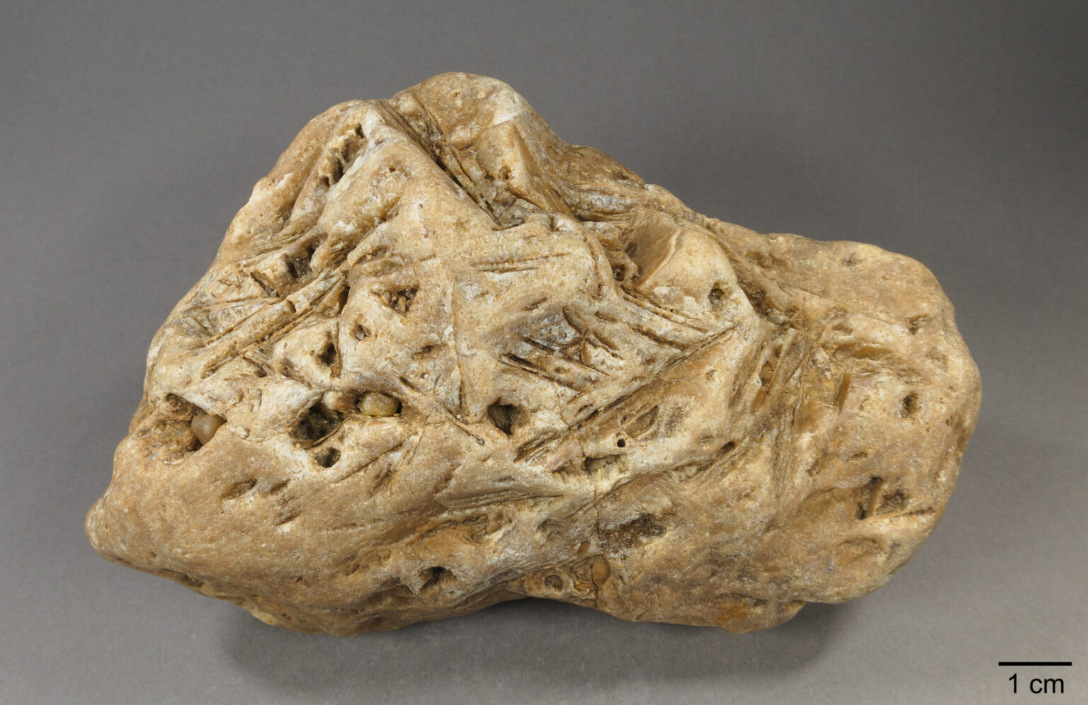 Tephrit | Geologische Streifzüge